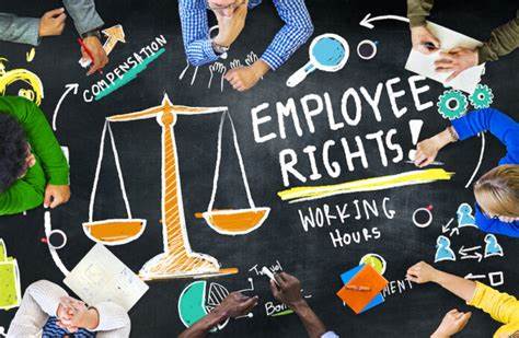 Employee-Generated Inventions: Balancing Employer and Employee Rights ...